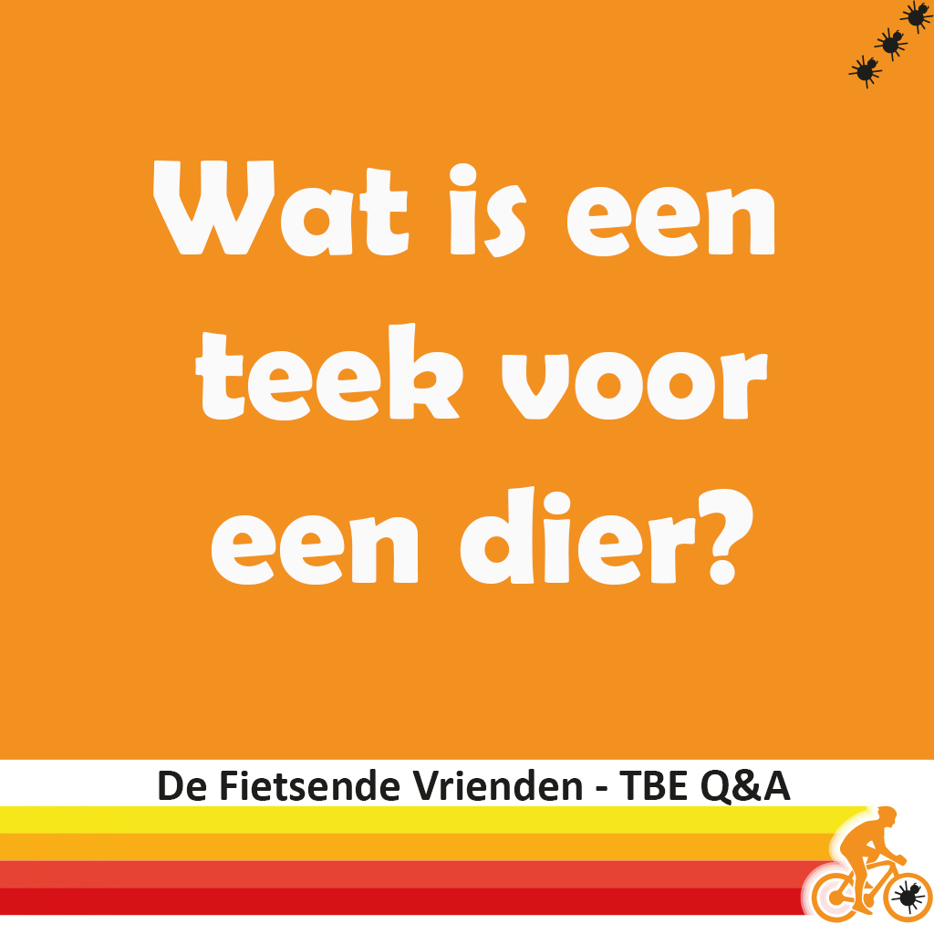Wat is een teek voor een dier? – De Fietsende Vrienden